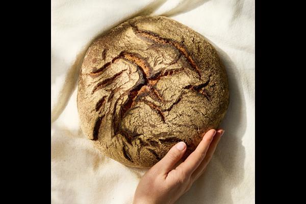 Gail's launches new bakery trio made with heritage grains | British Baker